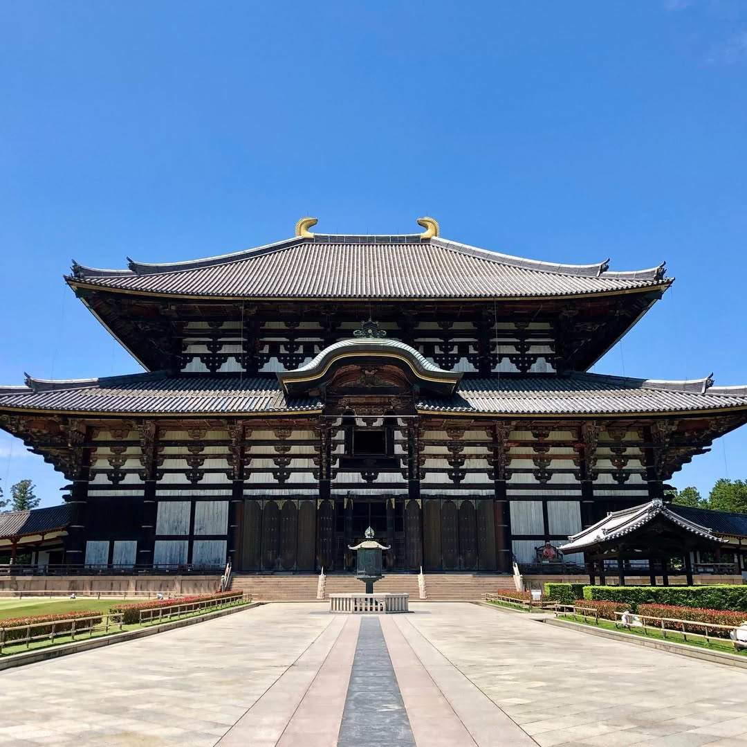 [Kyoto & Nara & Uji Day Trip] Nara Park's Adorable Deer & Fushimi Inari ...